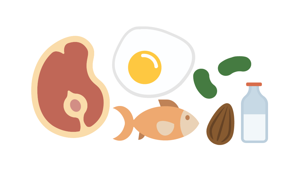 Becoming a Pro at Protein - Health & Fitness - Slimfast